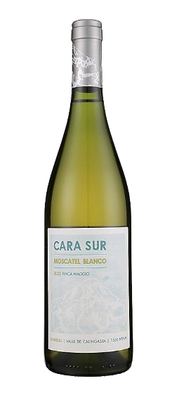 Cara Sur Moscatel Blanco Finca Maggio Barreal 2022 750 ML – CPD Wine ...