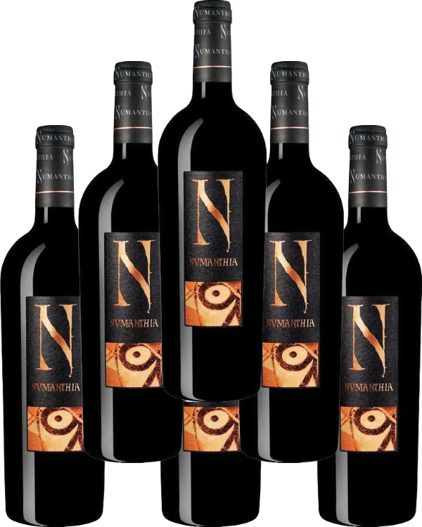 Numanthia Toro 2017 750 ML (6 Bottles) – Premium Spanish Red – CPD Wine ...